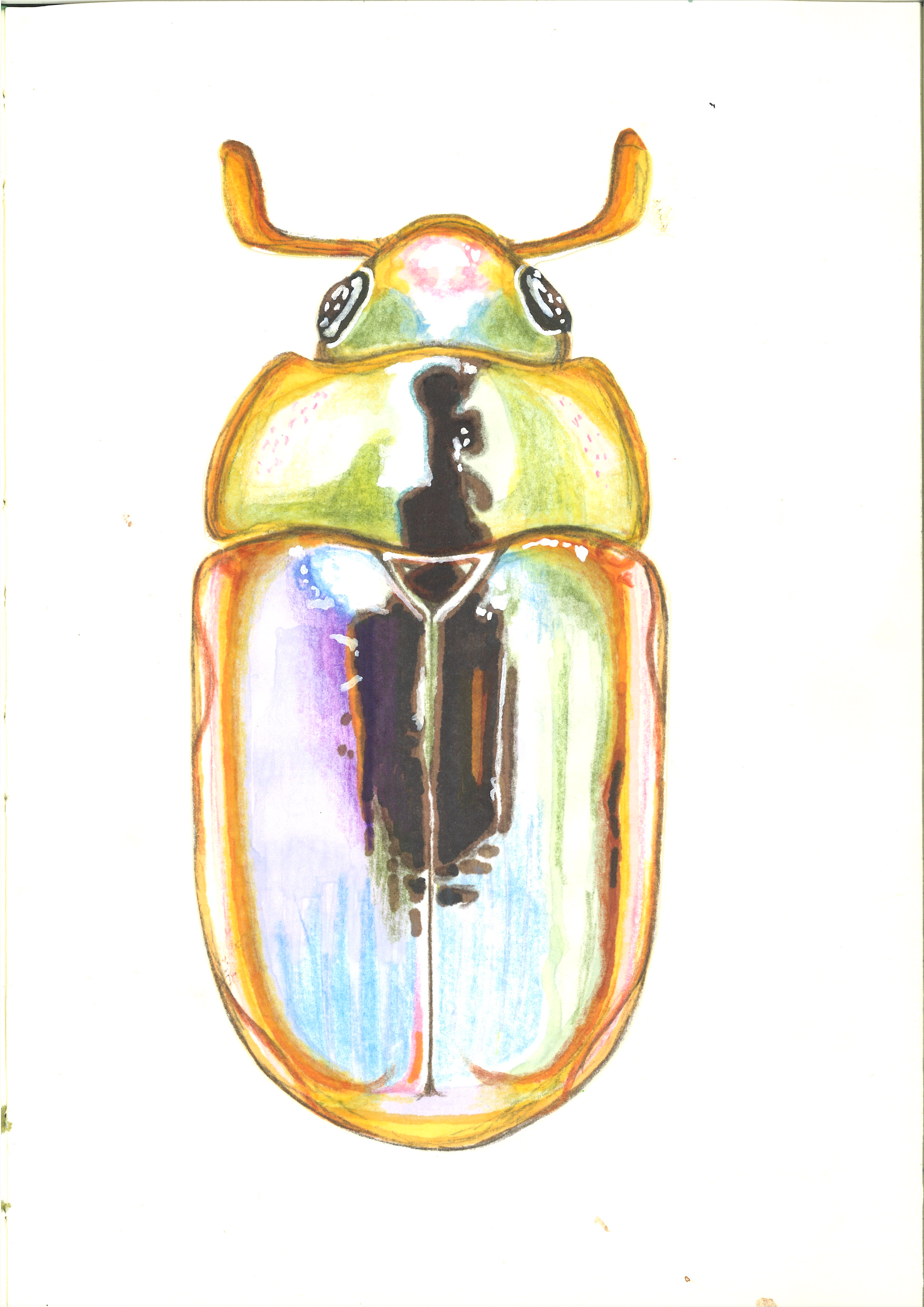 Gregor Samsa 2 - Utrinki - II. gimnazija Maribor